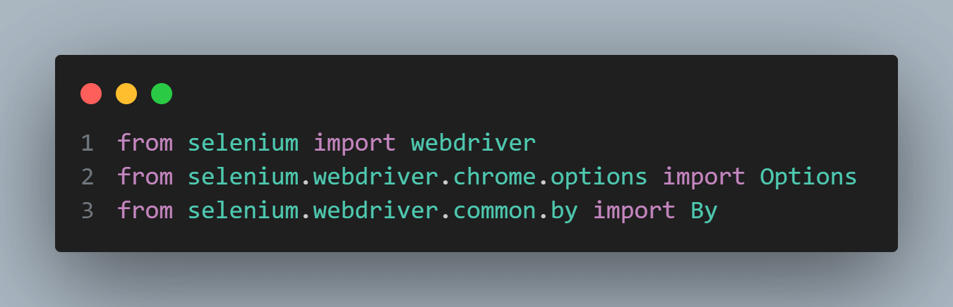 Headless Browser in Python and Selenium